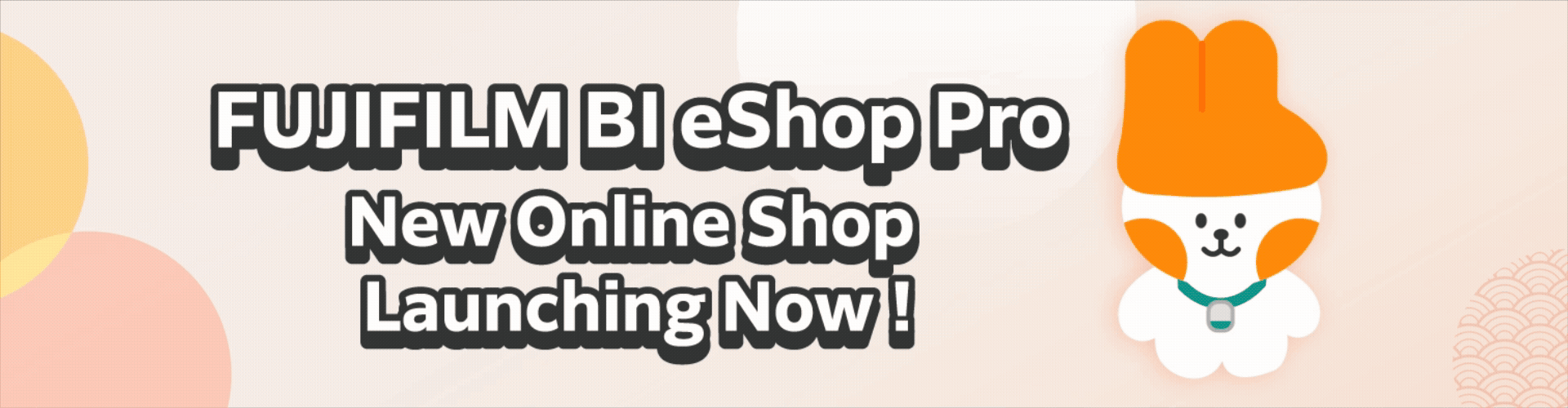 FUJIFILM BI eShop Pro